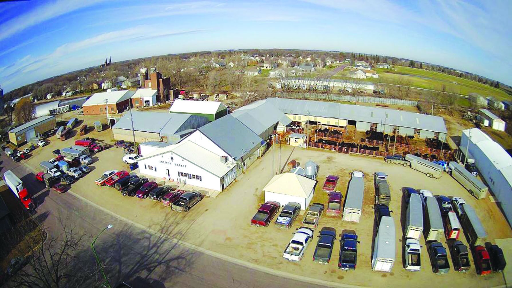 Sleepy Eye Auction Market