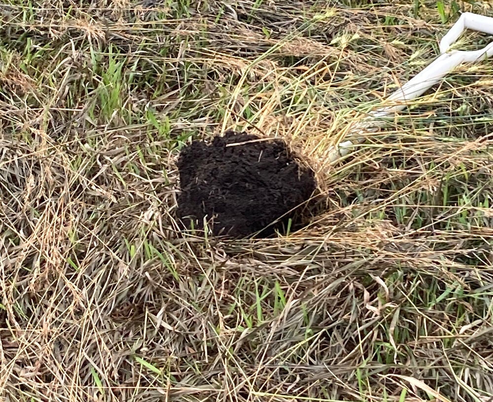 Ducks Unlimited/NRCS taking applications now for RCPP