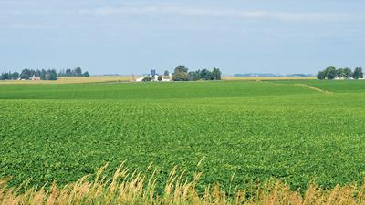 How has farmland leasing changed?