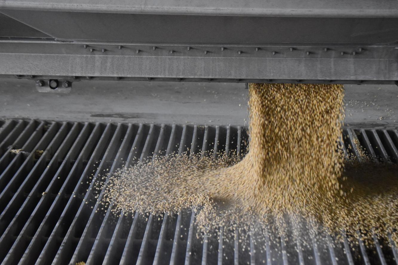 Demand for oil leads South Dakota Soybean Processor’s to open third ...