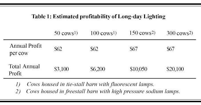 Long-day lighting worth considering