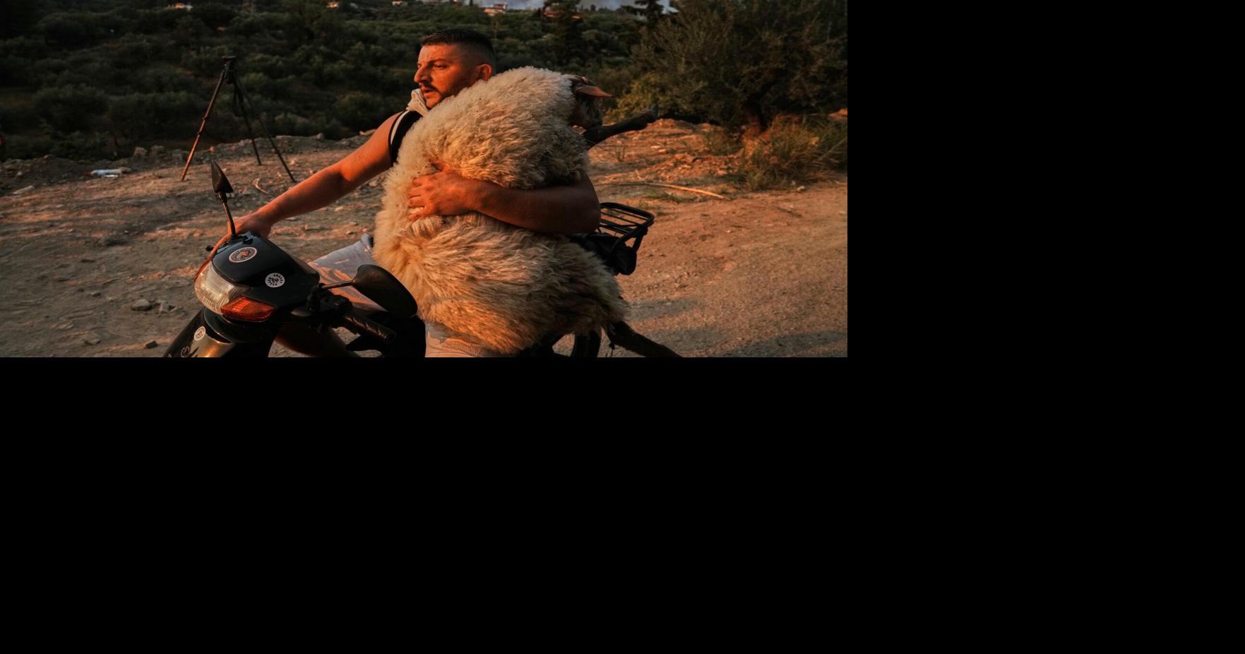 AP photographers capture destruction, heartache, resilience