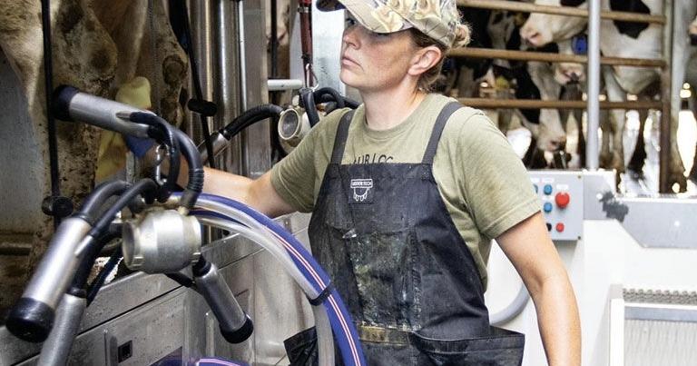 Army veteran returns to family dairy