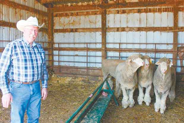 Frey has long, successful history with Columbia sheep