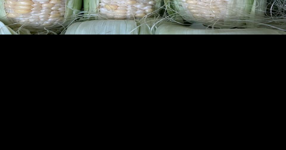 Corn pollination issues