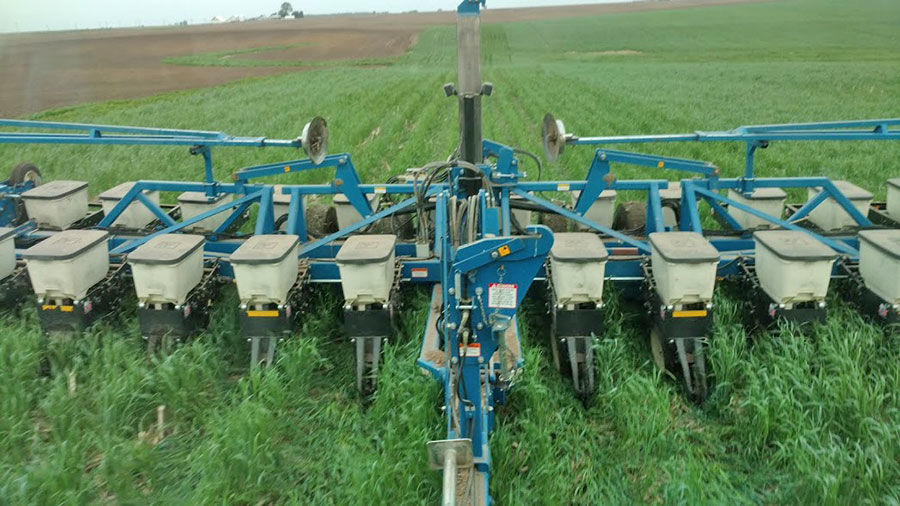 Wet weather pushes soybean planting into cover crops