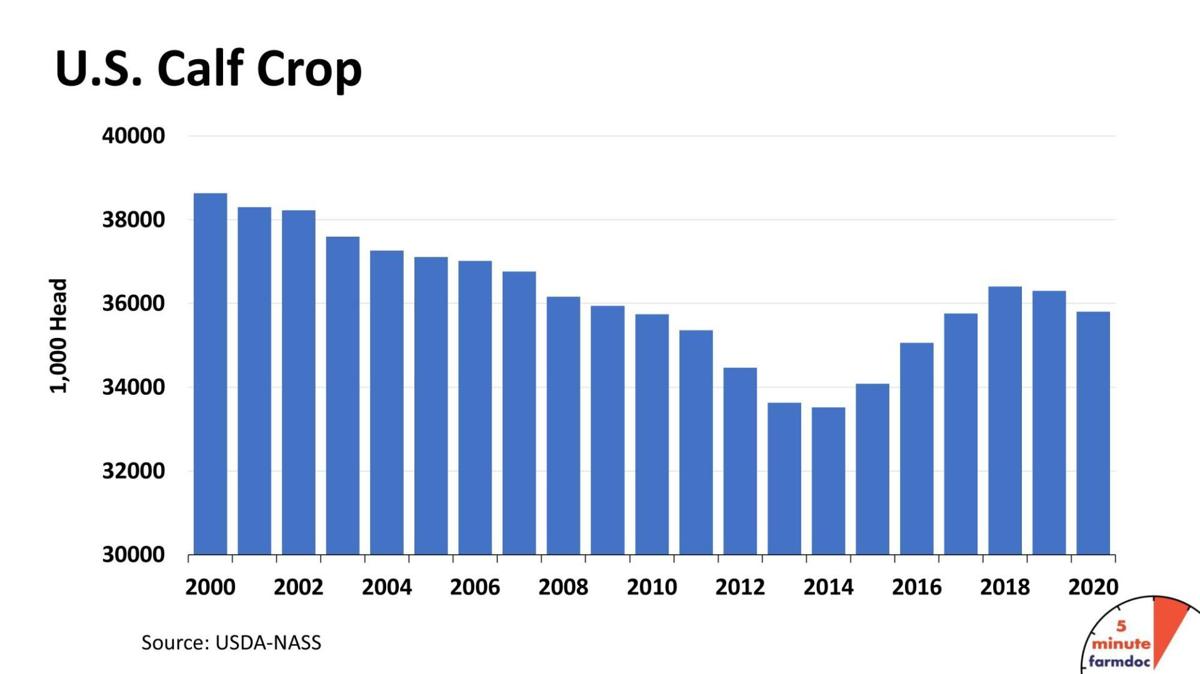 Cattle cycle follows trend