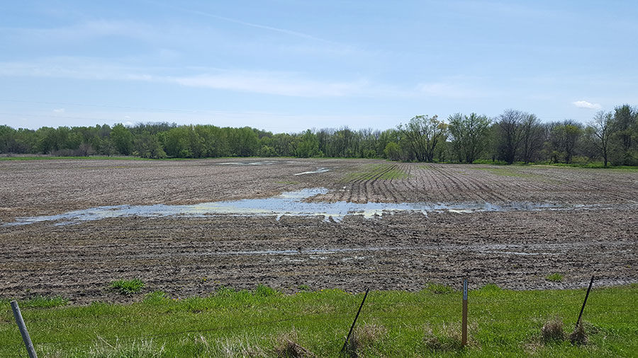 ‘Aggressive’ precipitation may continue in June