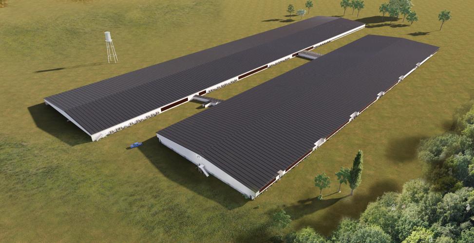 First all-steel swine barns to provide improved efficiency, animal health