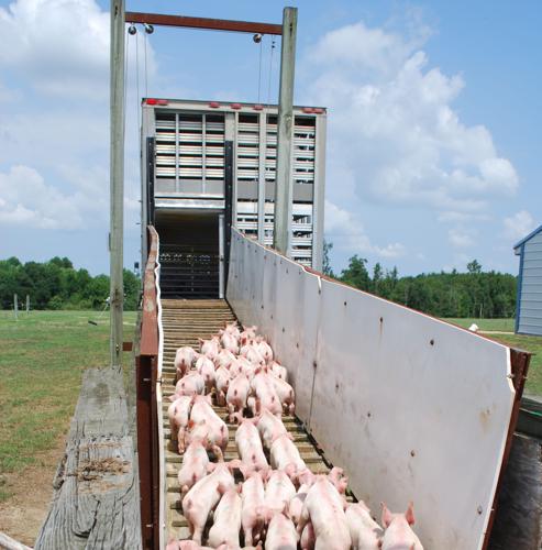 Get your TQA training at Pork Congress