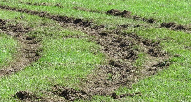 Field ruts need to be dealt with