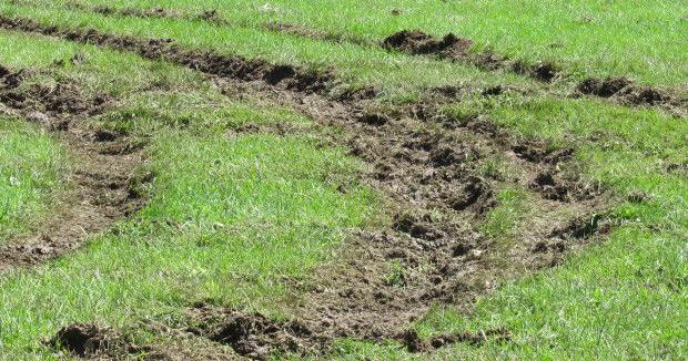 Field ruts need to be dealt with