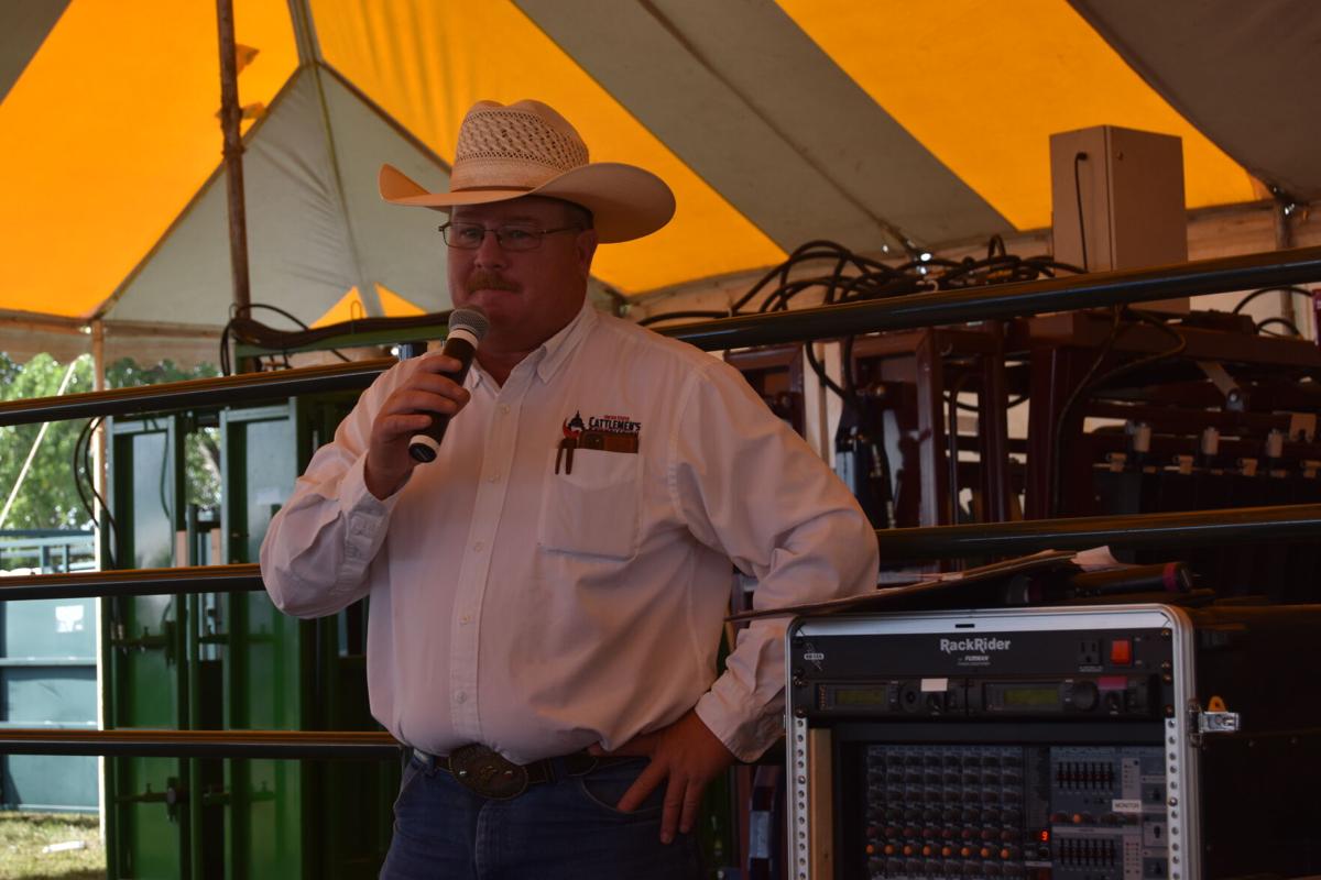 Senate bill takes aim at corporate packers