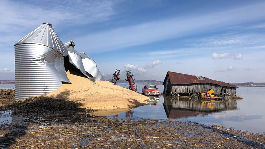 Flooding busts bins, contaminates grain