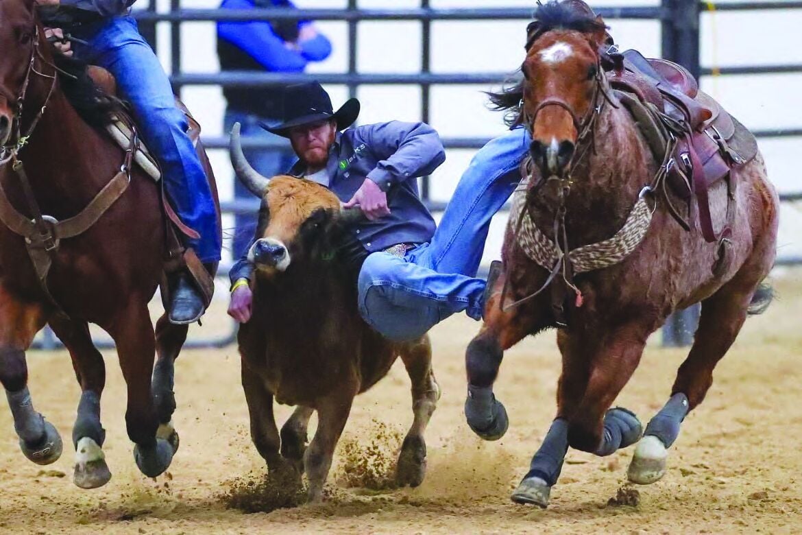 ‘Only young once’: Excitement, hope drive SDSU rodeo athletes to ...