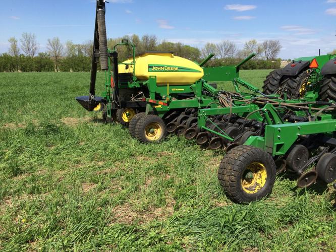 Soil health helps ease burden of wet growing season