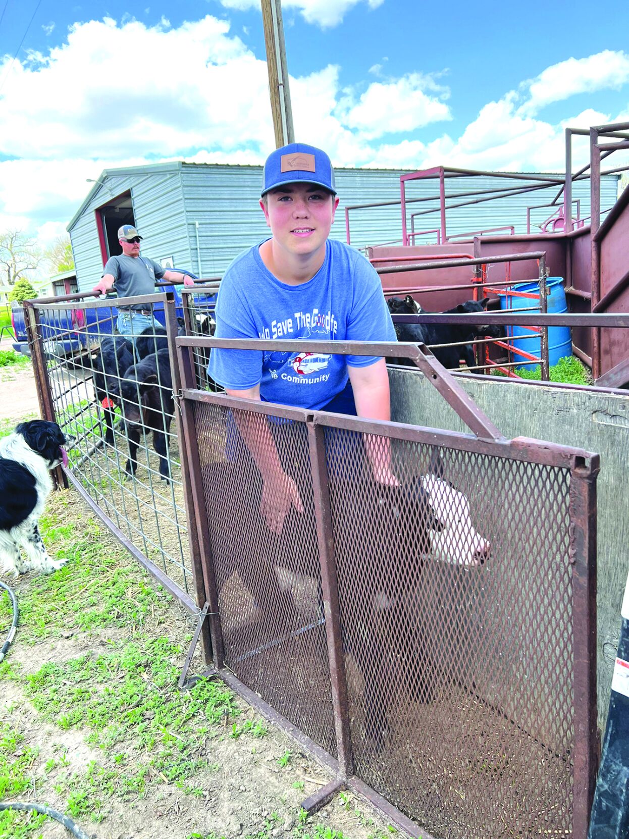 Working cattle, then hitting the books