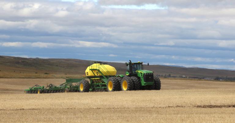 Enos family seeds winter wheat; pre-conditions calves