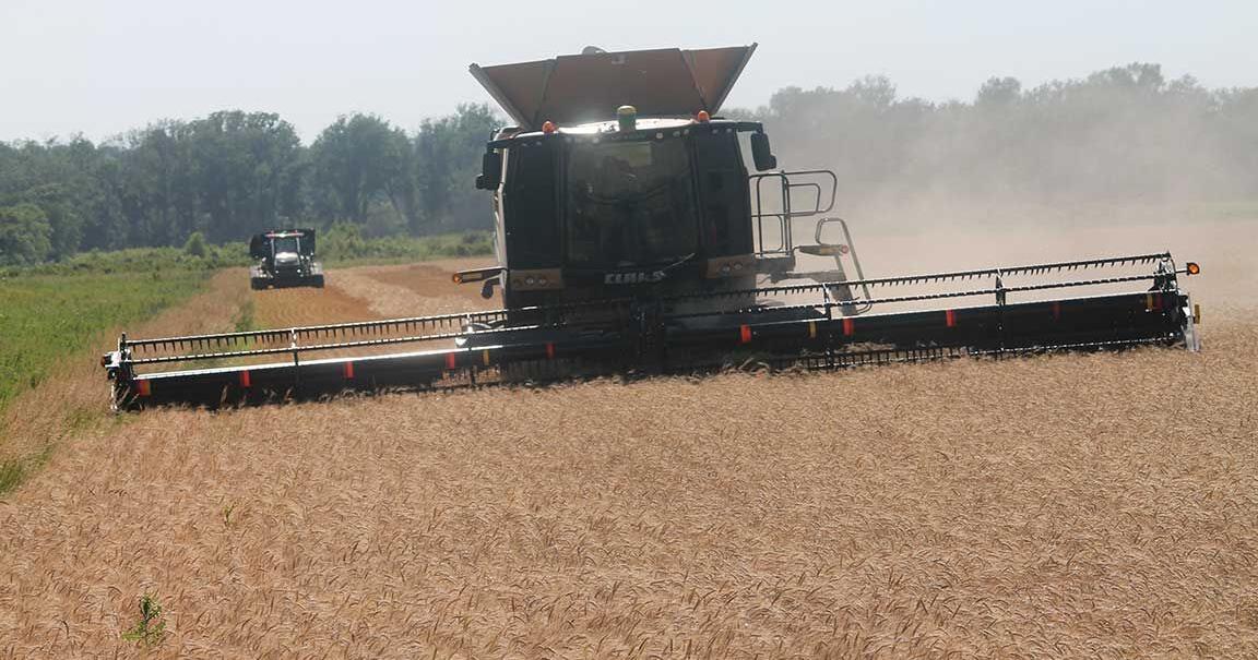 Wheat yields improve for Iowa farmer