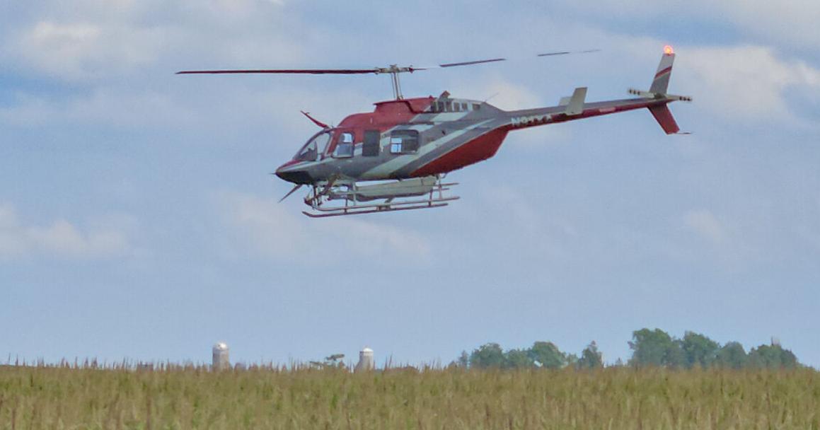 From the Fields: LeeAnne Bulman with Kaleb Ellis