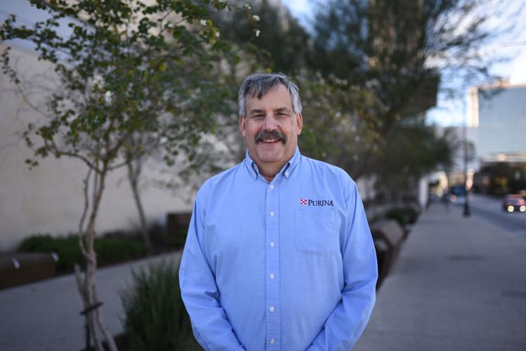 Understand feeding rumen microbes matters