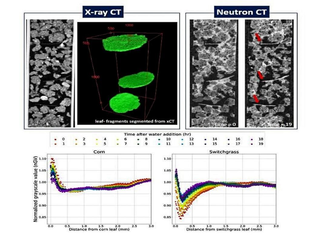 Xray and Neutron scans