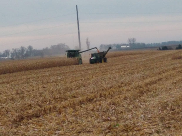 Crop Watcher: Corn harvest reveals healthy cover crops in Minnesota
