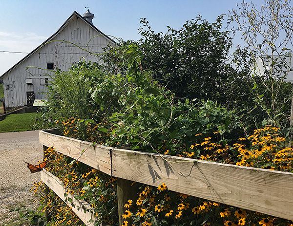 The Garst Family Seed, an agricultural legacy