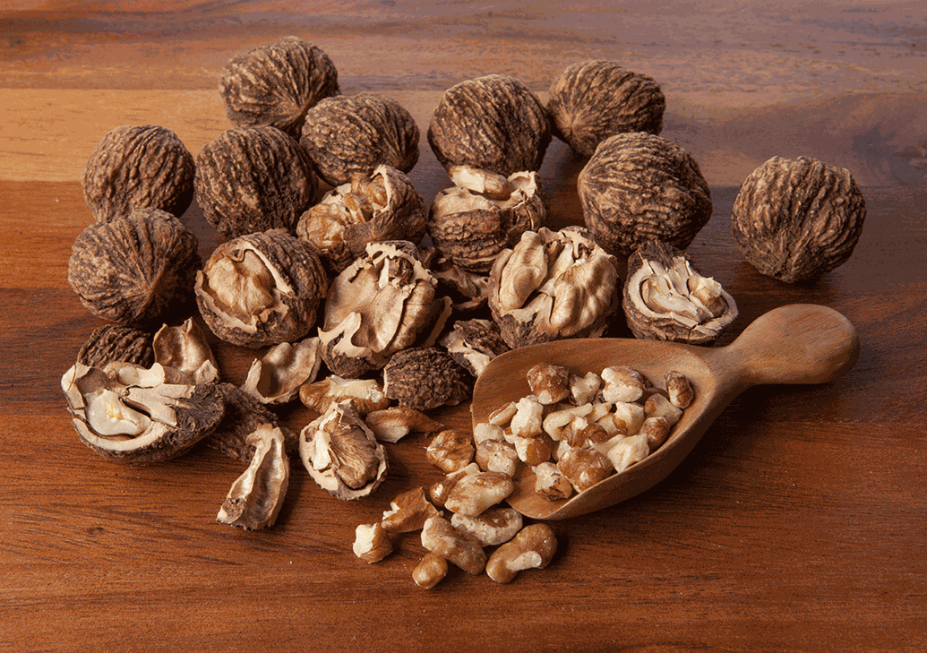 Wild black walnuts bring bold flavor to recipes