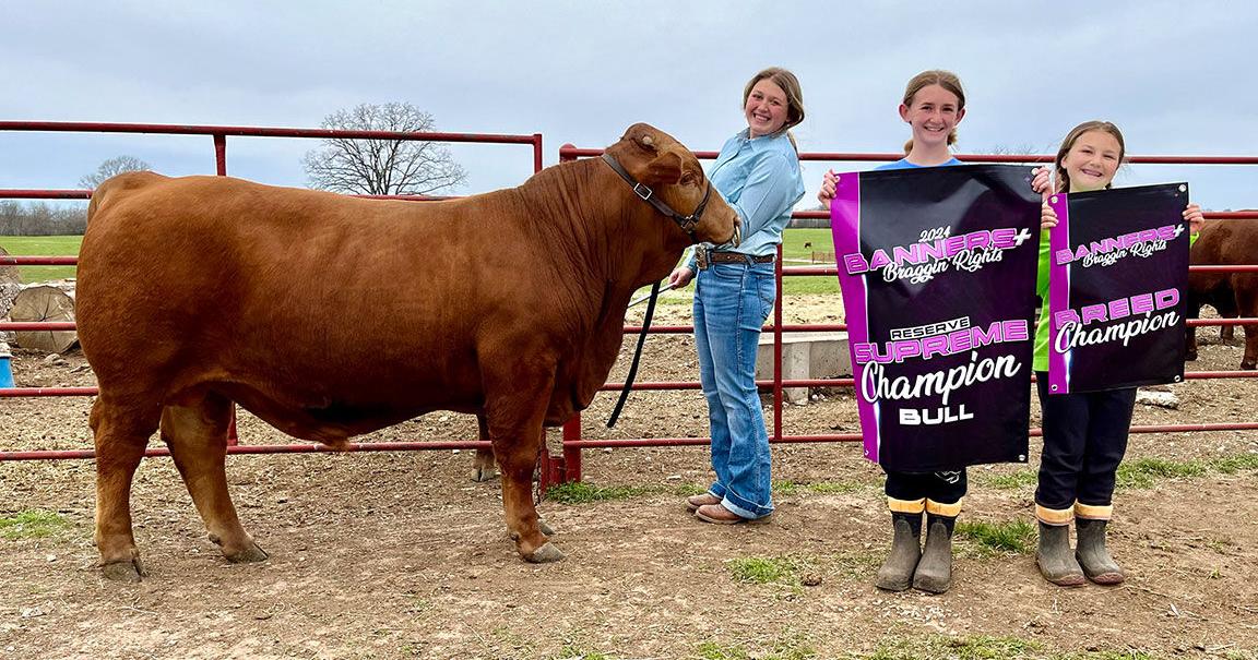 16-year-old works to grow Beefmaster breed