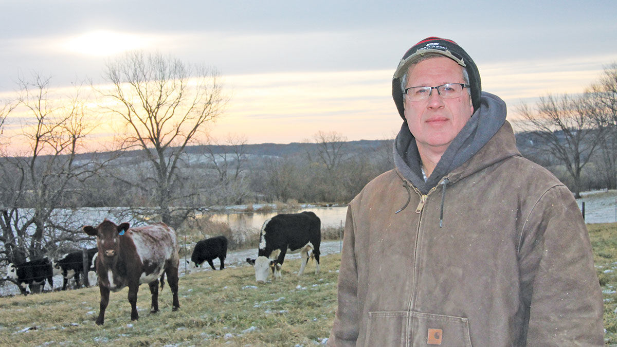 Study of disease in Black Herefords affects human health
