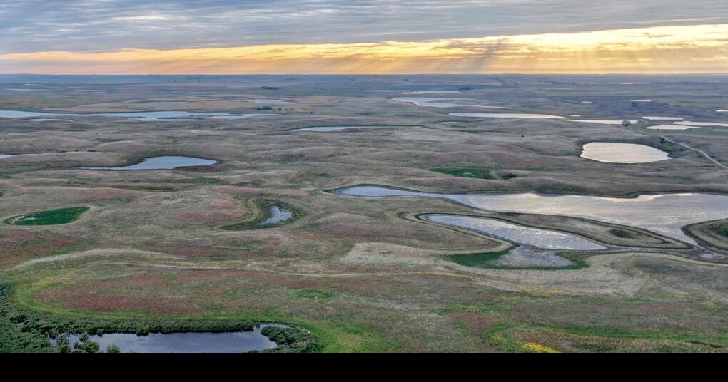 New RCPP focuses on Prairie Pothole Region