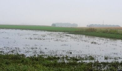 Prevent plant a consideration with wet fields