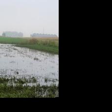 Prevent plant a consideration with wet fields
