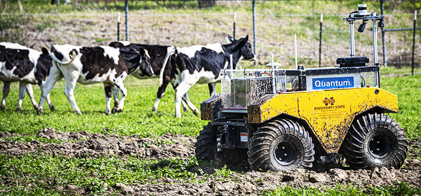 Researchers run robot roundup