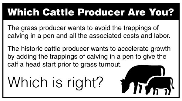 Opportunities make the grass-born calf a very real option