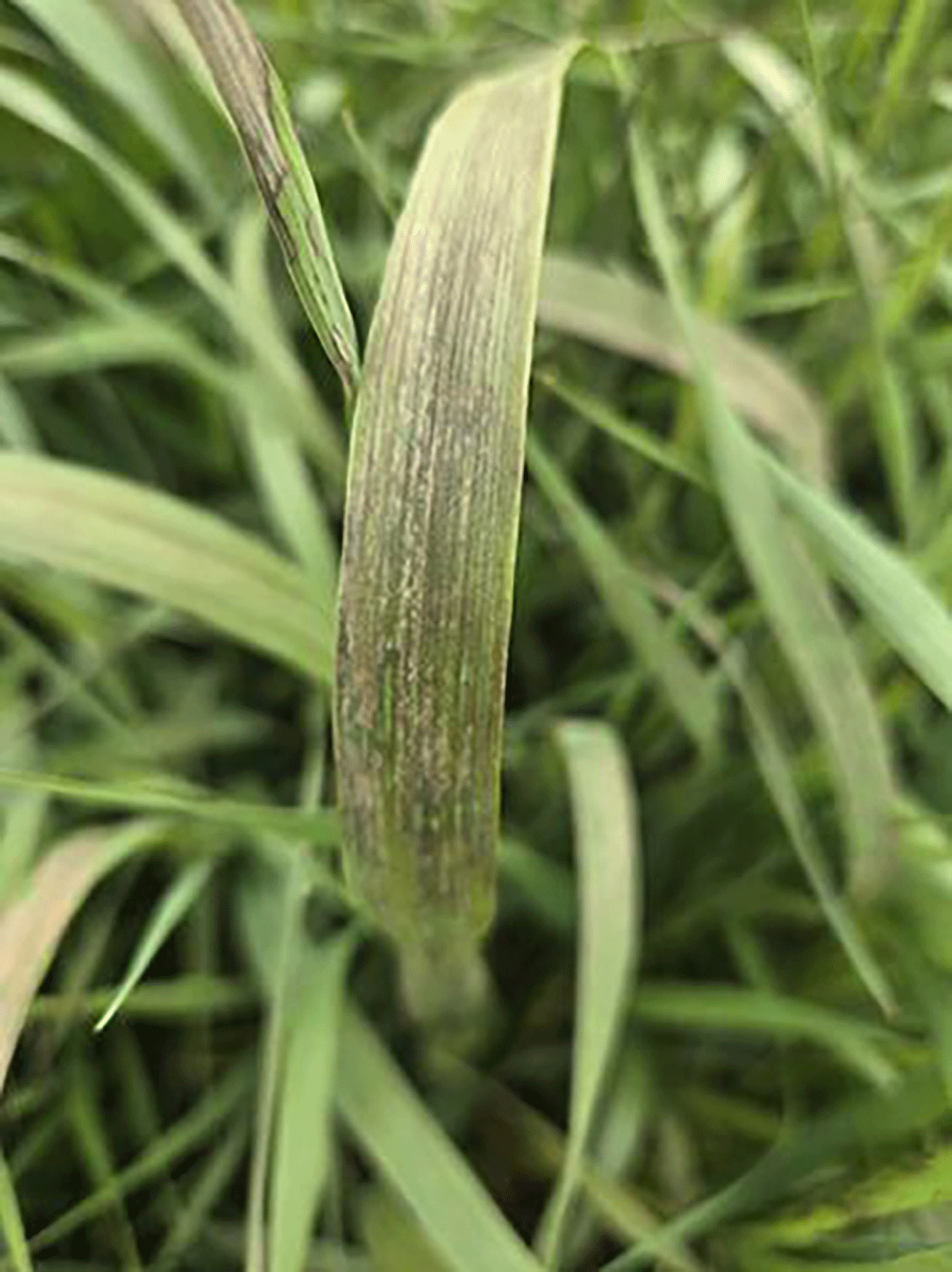 Tips to repair longterm relationships after mistakes on the farm