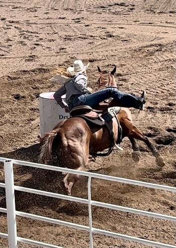 Nebraska state 4-H rodeo taking the reins