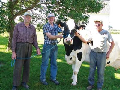 Knoeck Suggests ‘Polled’ Alternative to Dehorning