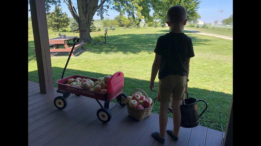 Midwest’s apple varieties provide a taste of fall