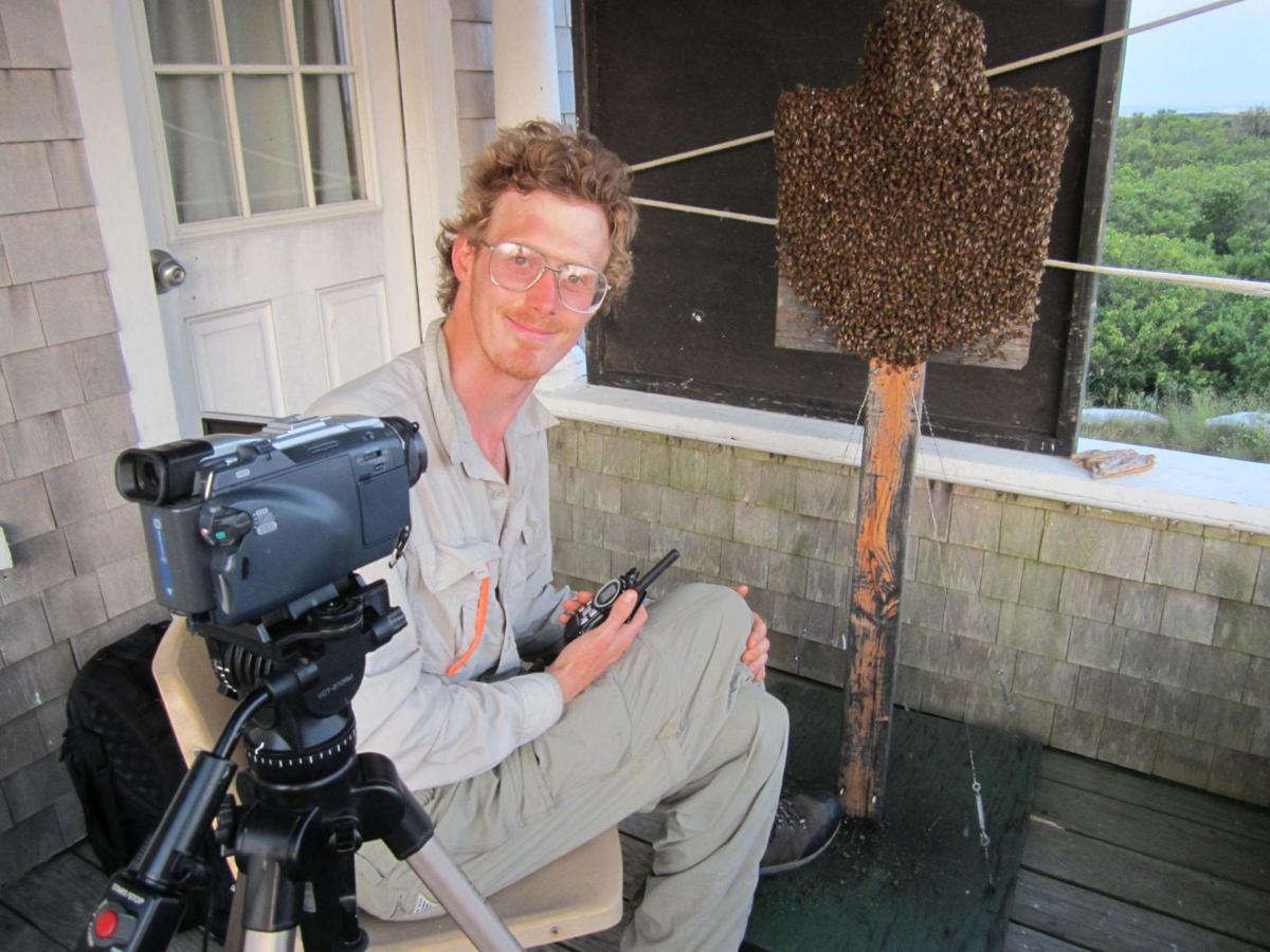 Bigger honeybee colonies damp noise | Crops | agupdate.com