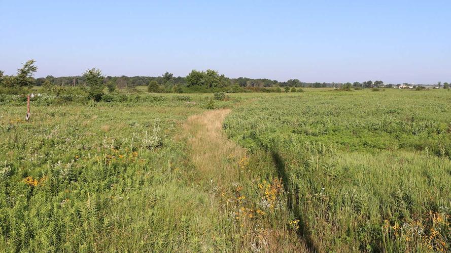 Central Missouri’s Tucker Prairie provides research opportunities