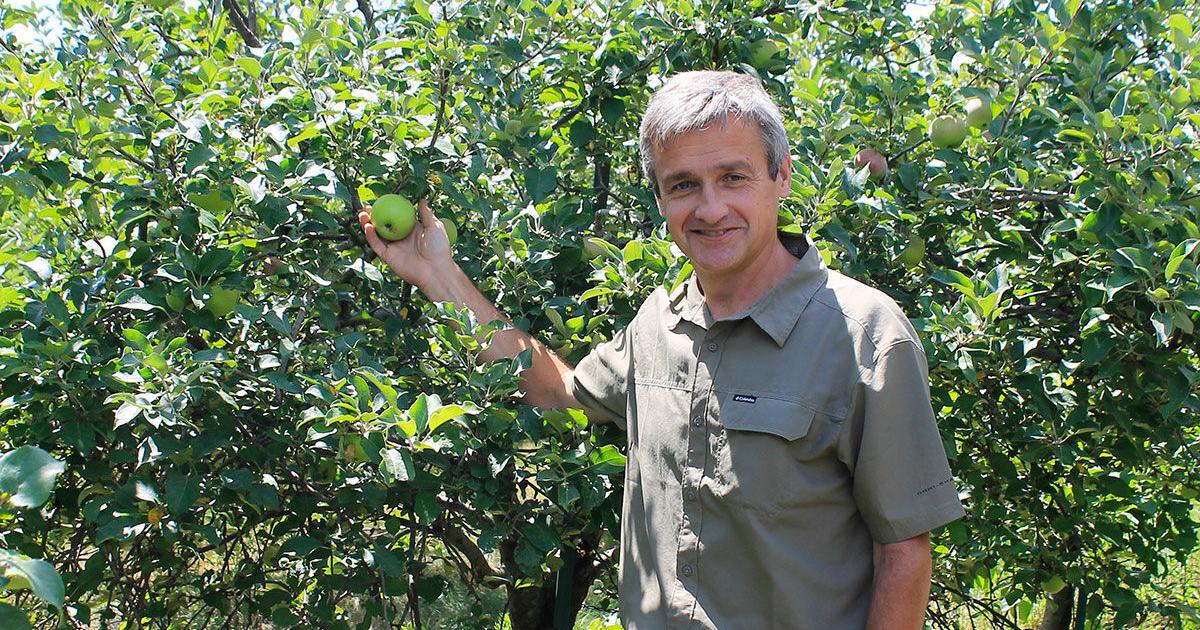 Eastern Iowa apple orchard getting ready for fall season