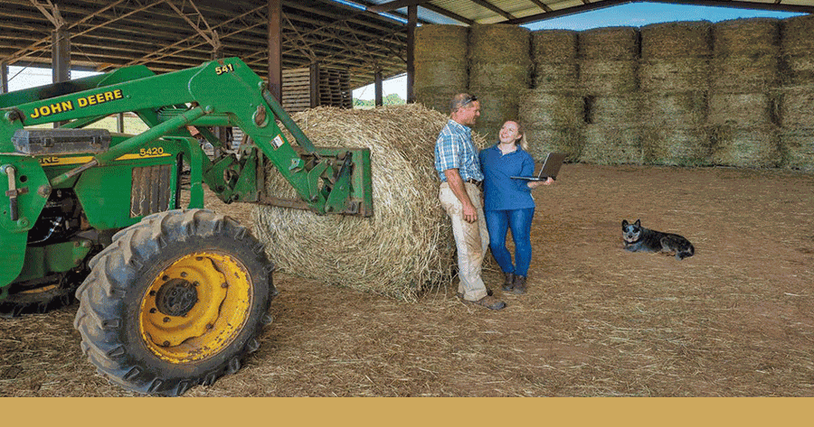 Good records boost cow-calf management