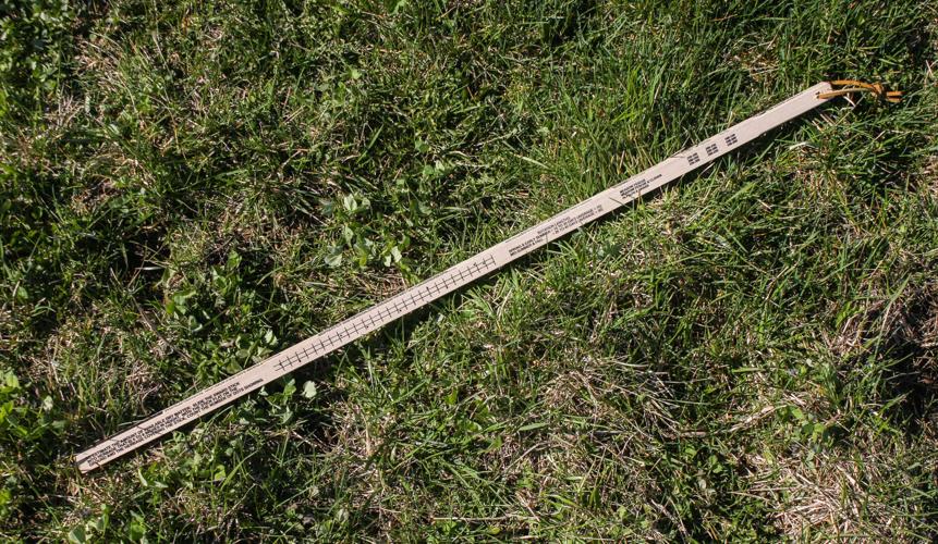 Build soil health with grazing