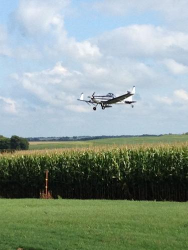 Soil health helps ease burden of wet growing season