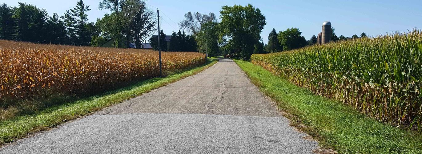 Disease assaults Wisconsin corn fields