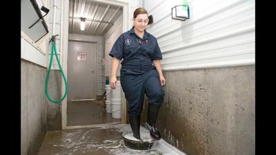 Stick to basics for biosecurity program