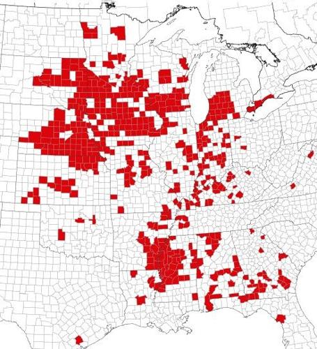 Challenges from fungal disease not left behind in 2025