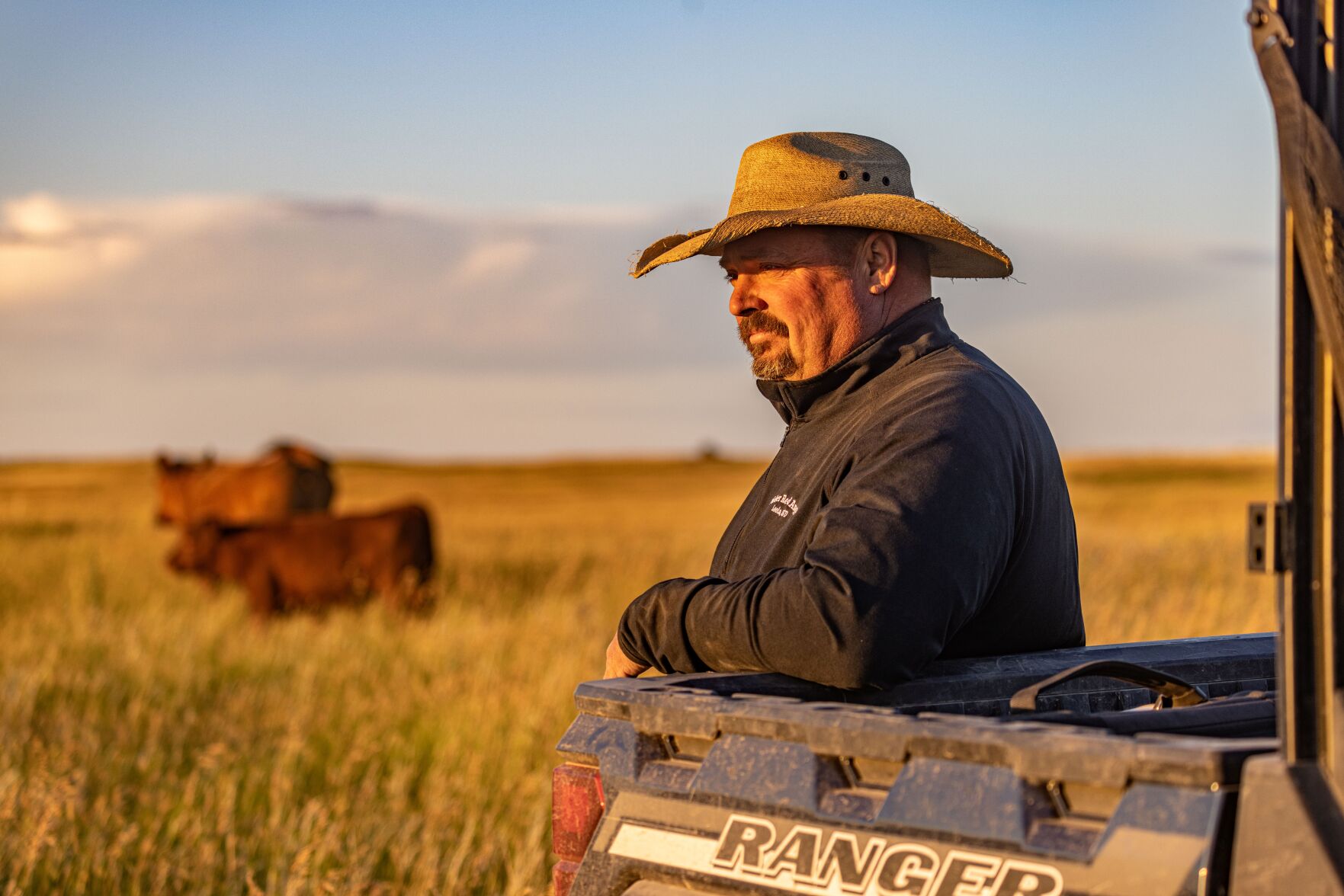 Updated payment programs bring some certainty to farmers